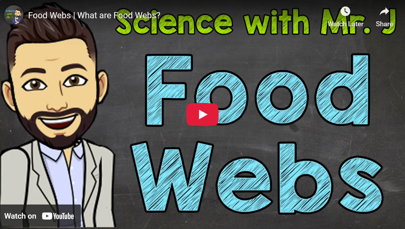 Food Chains - [Year 4] Unit 2 - Organisms, Habitats & Food Chains ...