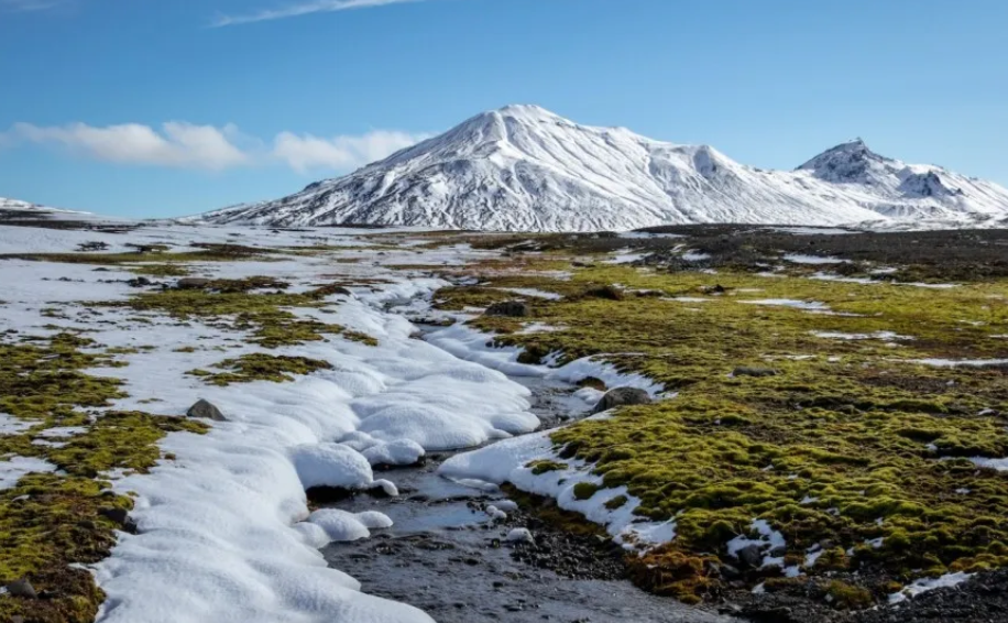 Arctic tundra - HSIE - Geography - Year 9 - Biomes - LibGuides at Saint ...