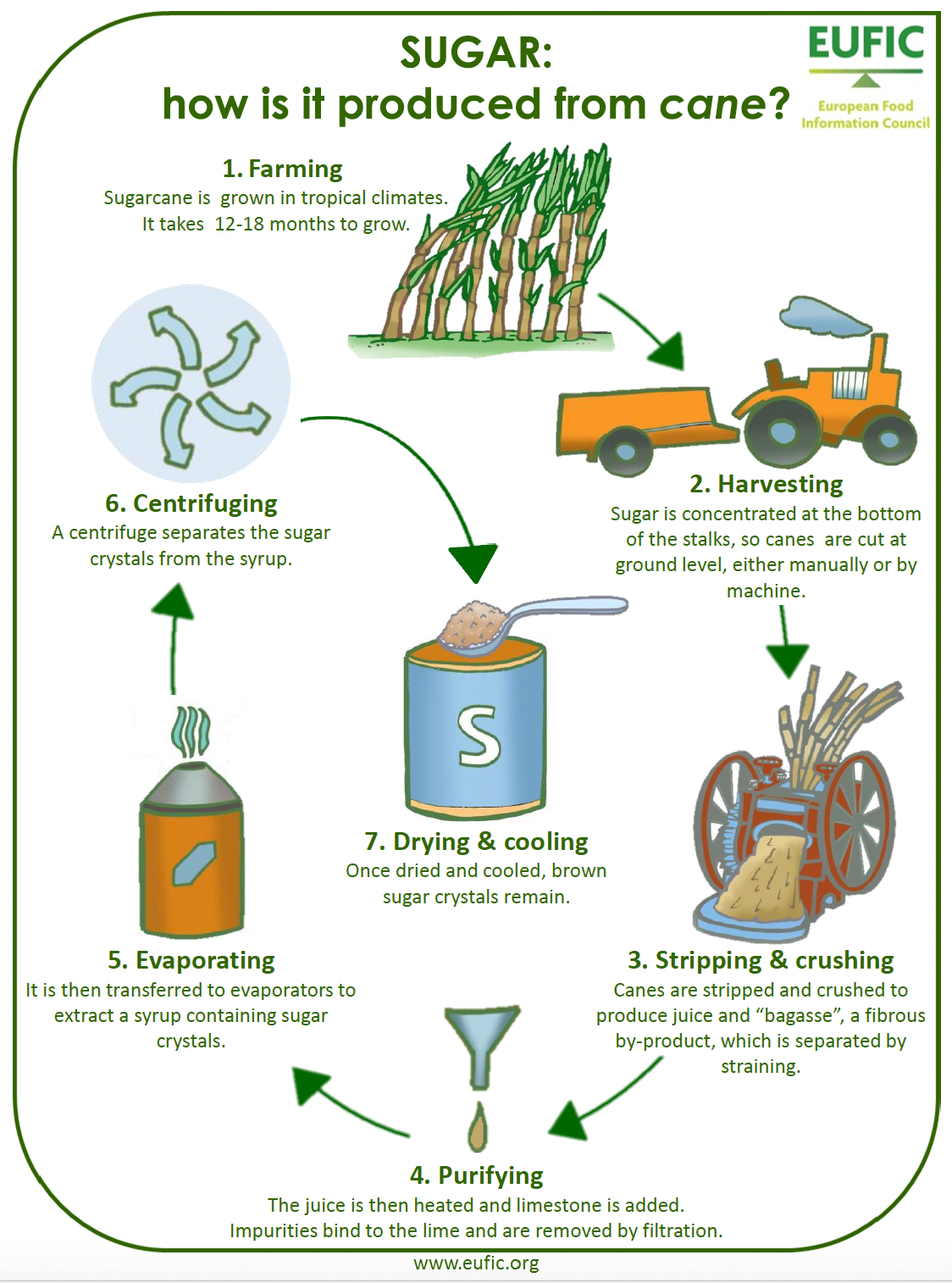 Sugar - Food For Thought - LibGuides at NIST International School