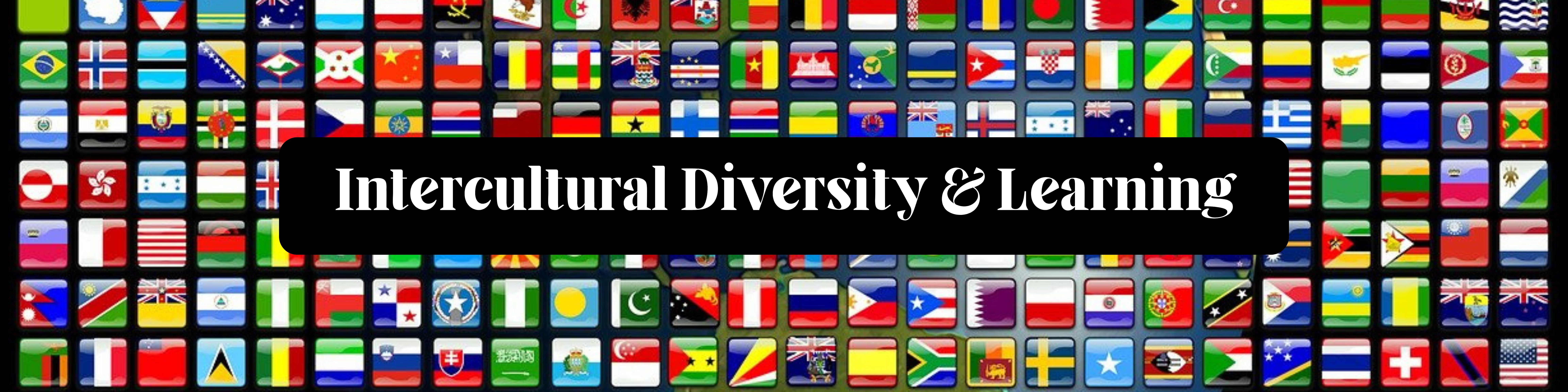 Home - Intercultural Diversity & Learning - LibGuides at NIST ...