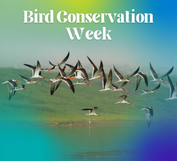 Library Homepage - Library Homepage - LibGuides at United World College ...