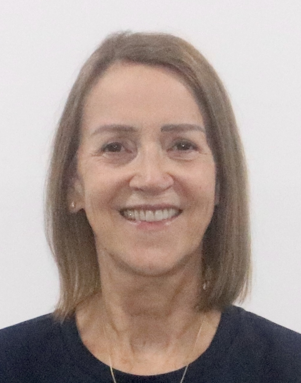 Home - LibGuides at Yangon International School