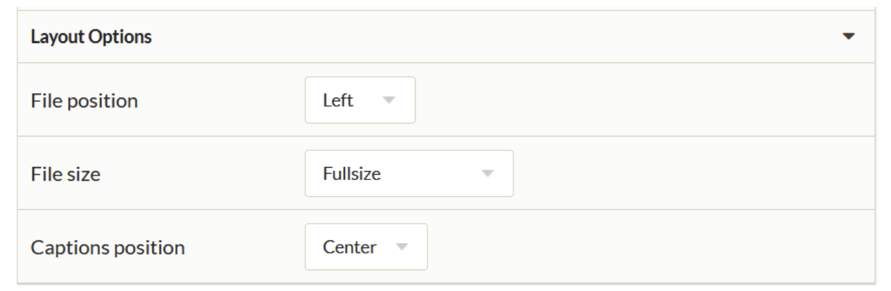 Interface Options - Omeka Guides - LibGuides at Vin University