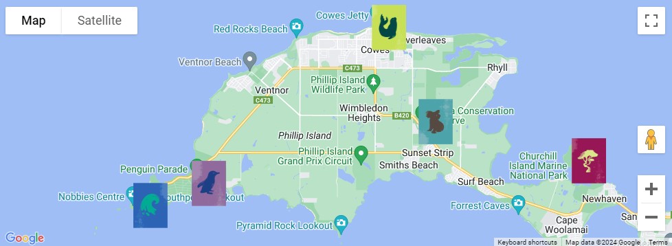 Phillip Island - Geography - LibGuides at Tintern Grammar