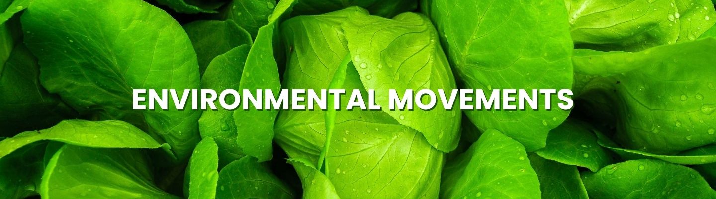 Environmental Movements - Modern History: The Historical Investigation ...