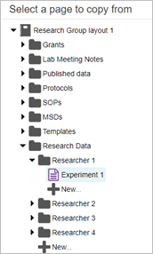 Suggested folder structures - single group notebook - Research Data ...