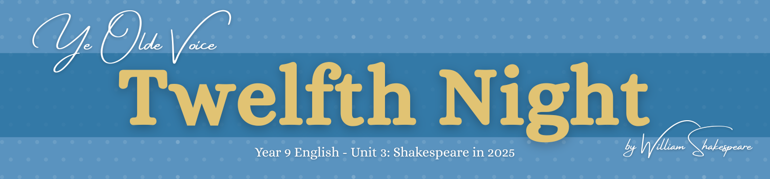 She's the Man (2006) - Movie & Analysis - [Shakespeare] English ...