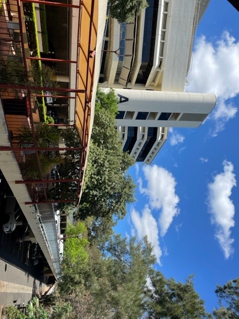 Northern Sydney - TAFE NSW History and Heritage - Home at TAFE New ...