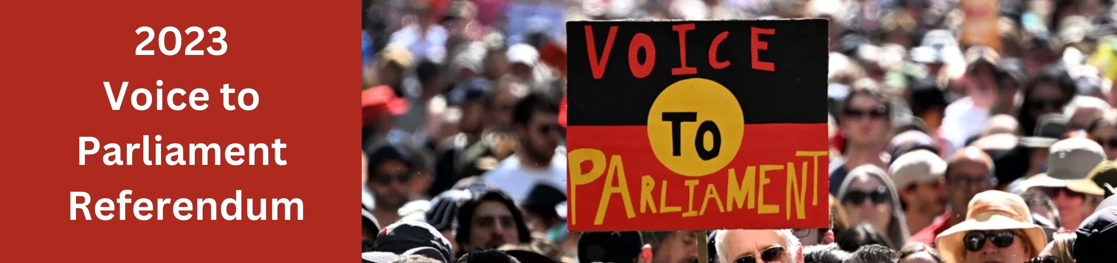 2023 Voice to Parliament - First Nations Rights and Freedoms ...